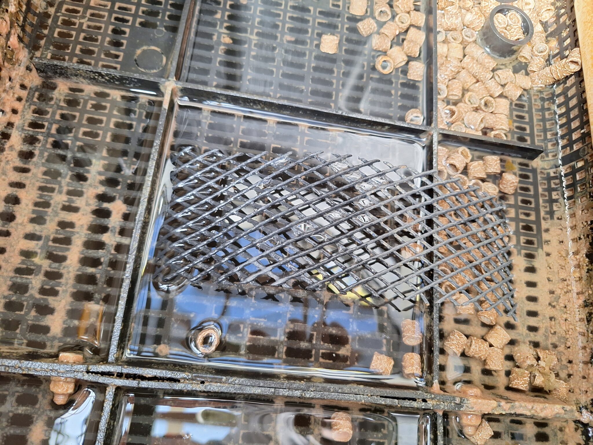 担体流出!?ハウステック 浄化槽 KGR2-5型 焦らず落ち着いて解決する方法を解説 | 初心者のための浄化槽管理士 実践ガイド | 浄化槽ワークス