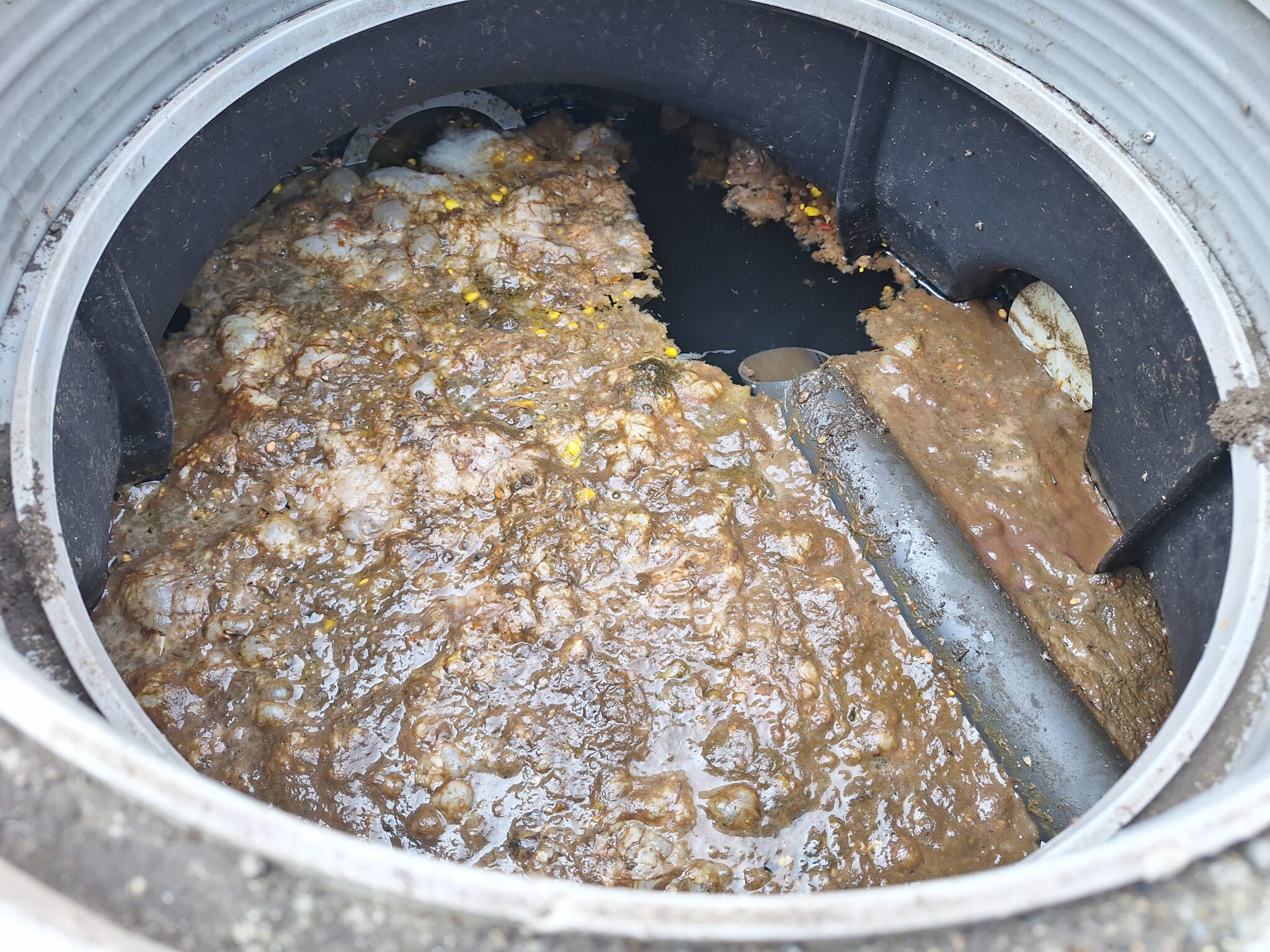 ハウステック KGR2-5型 浄化槽が満水状態に！対処方法と注意点を解説 | 初心者のための浄化槽管理士 実践ガイド | 浄化槽ワークス